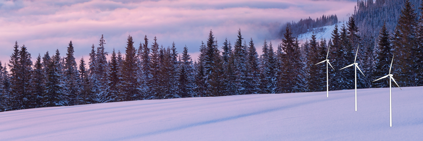 AMCS Platform Winter Release 2022 | AMCS Group