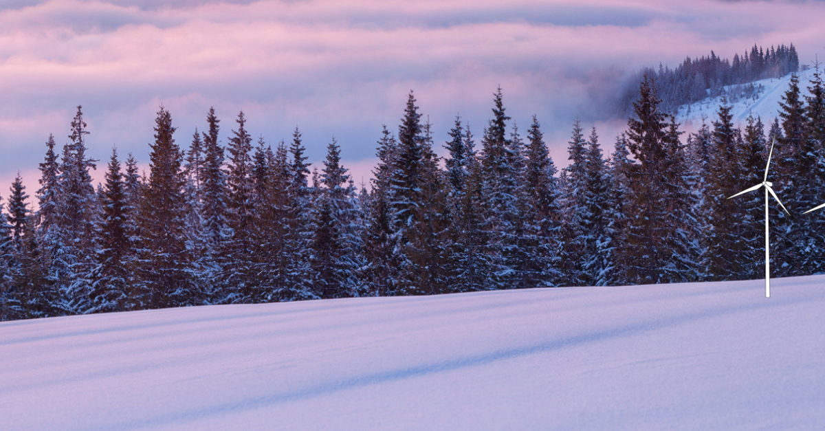 AMCS Platform Winter Release 2022 | AMCS