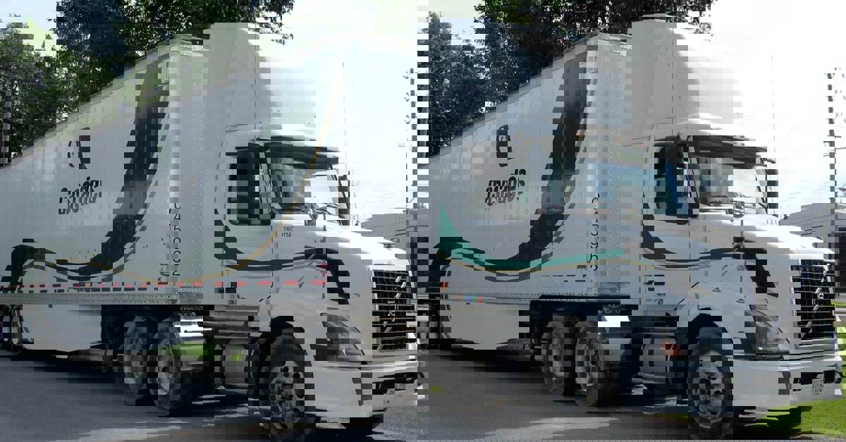 Cascades Recovery+, Visibility in operations | AMCS