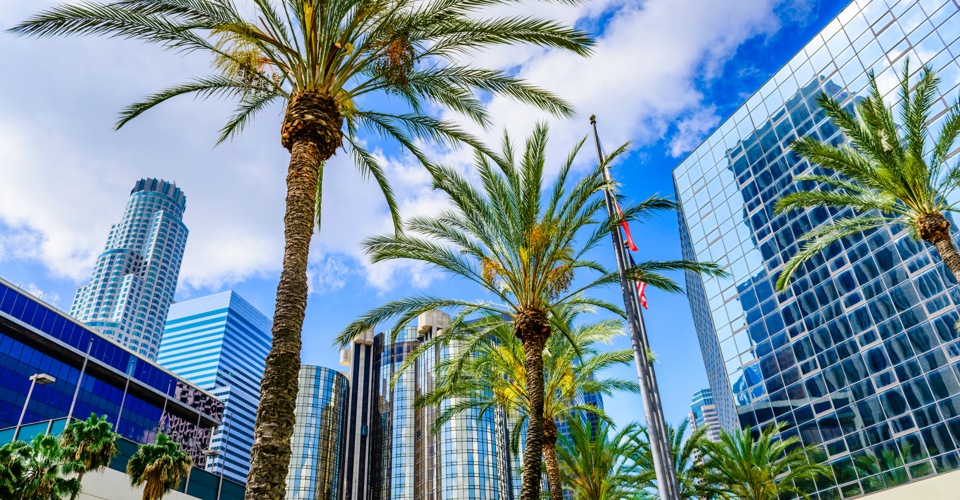 Preparing for California’s Climate Disclosure Laws | AMCS