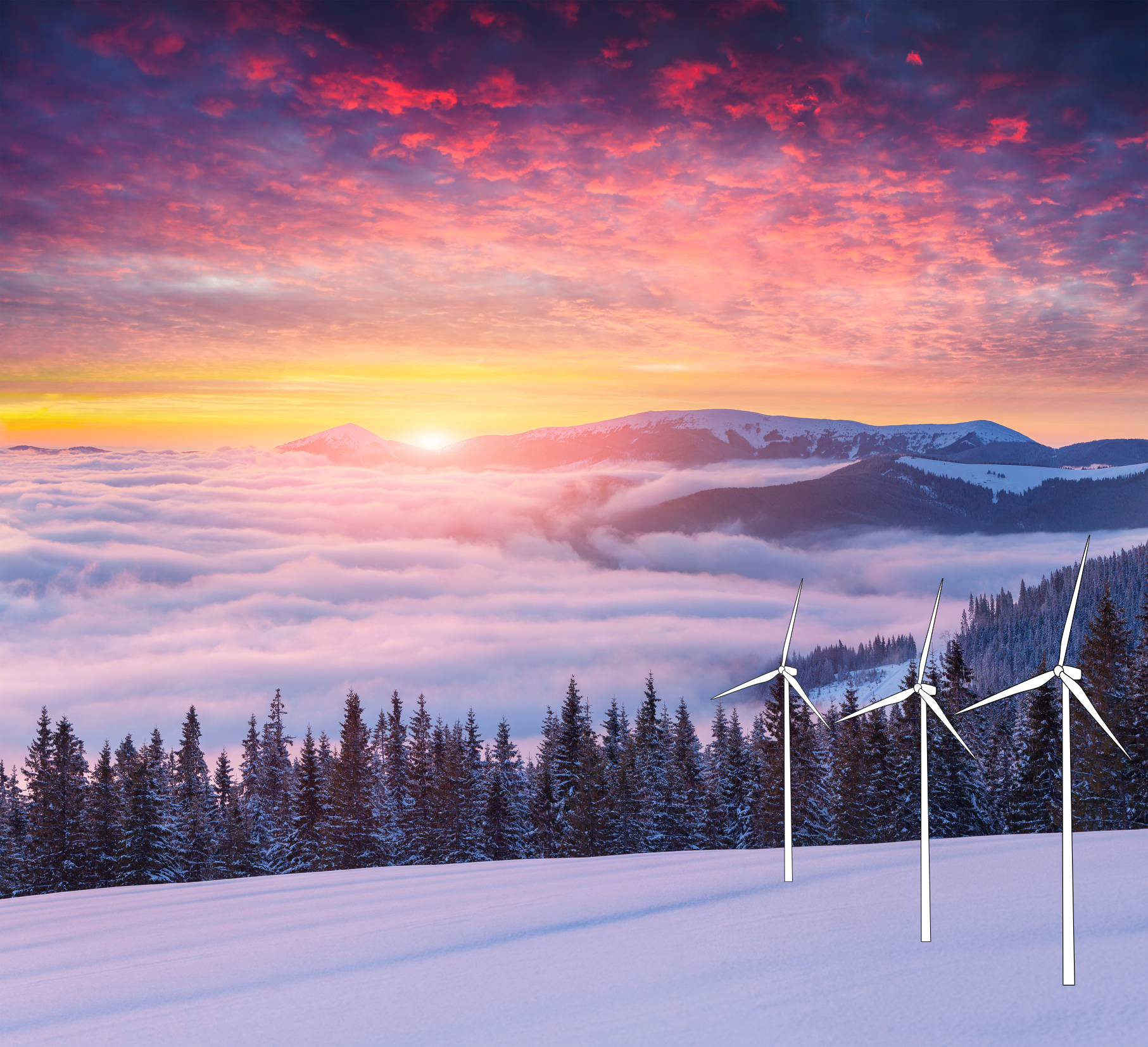 AMCS Platform Winter 2022 release | AMCS