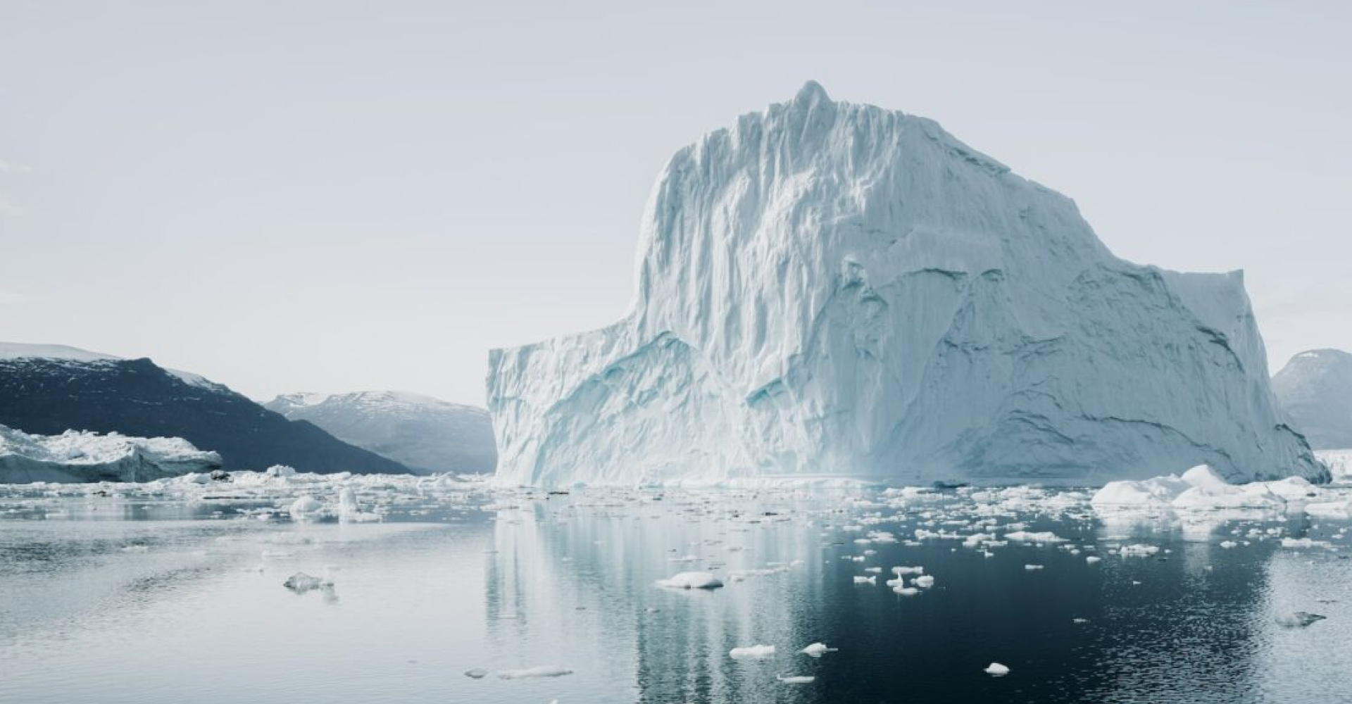 7 Steps for Developing an Effective Climate Action Plan | AMCS