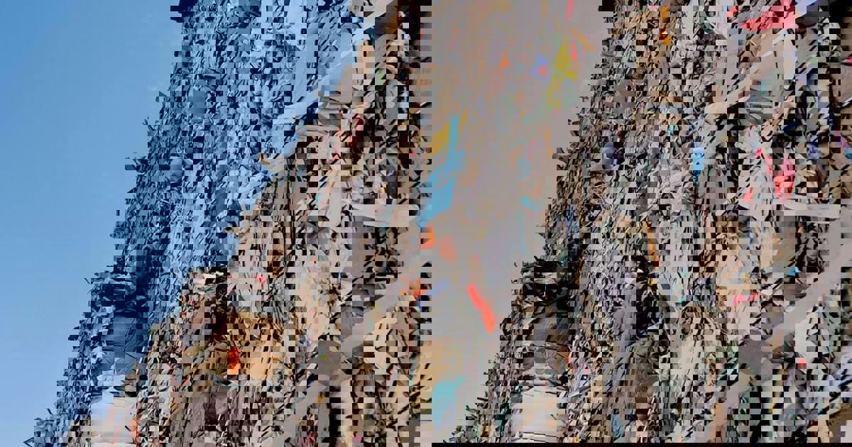 Raw Material and Grading Evaluation Software | AMCS Group