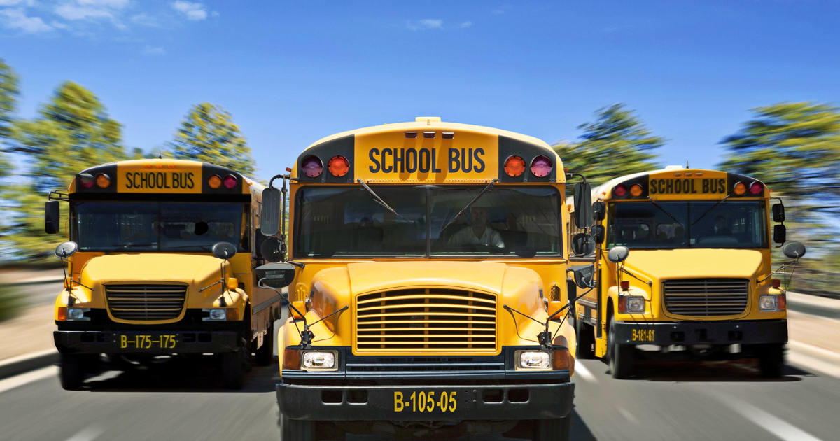 Government Transport Software Solutions | AMCS Group